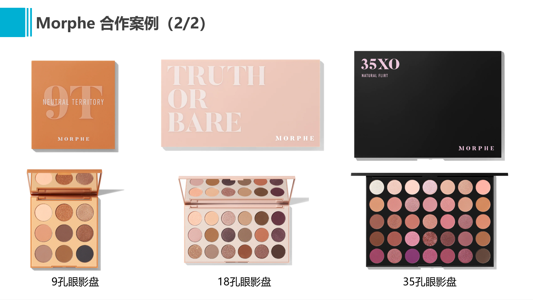 Morphe collaboration case